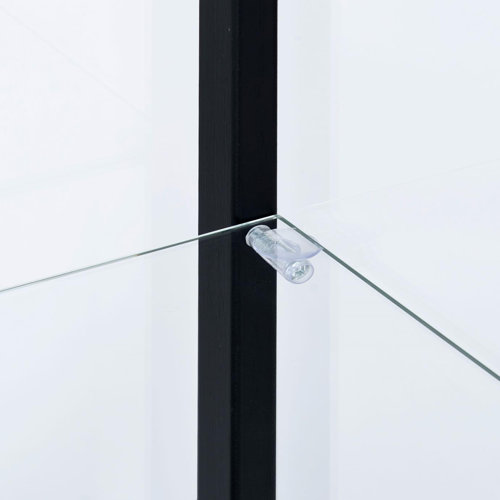 Ebern Designs Dinnigan 5-Shelf Curio Cabinet in Black | Wayfair