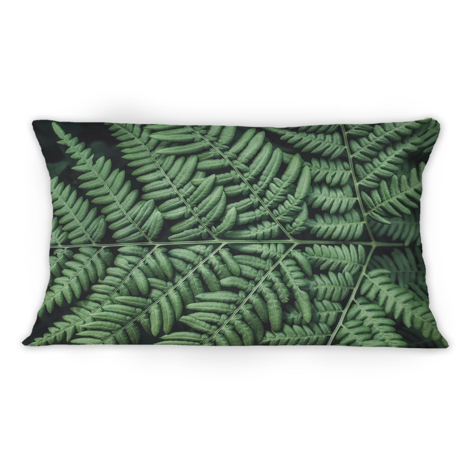 Design Art Ferns In The Night - Tropical Printed Throw Pillow 1 | Wayfair