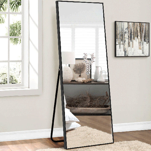 Paloma Modern & Contemporary Full Length Mirror at Ina Peterson blog