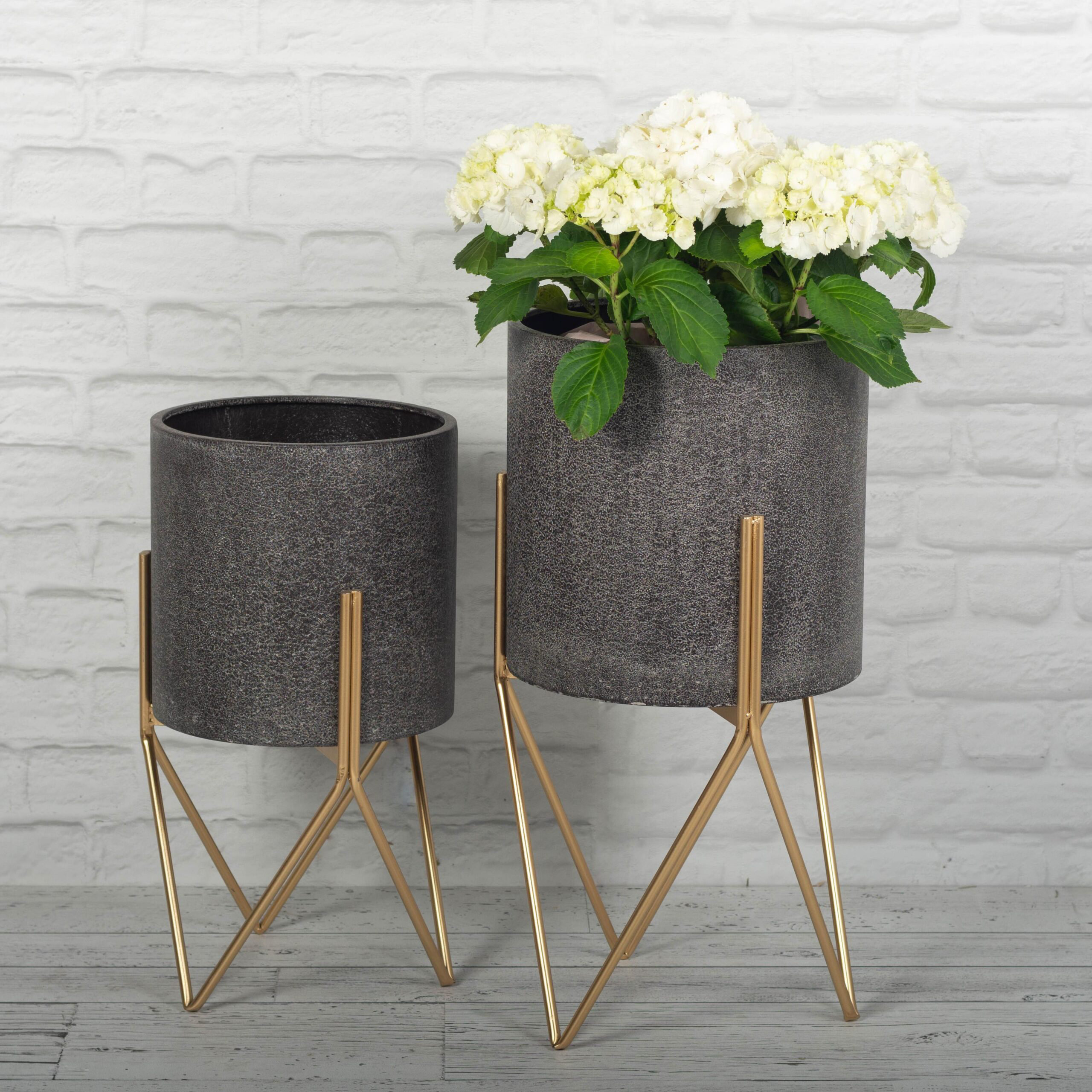 Mercer41 2 Piece Dvithi Cement Cachepot Set | Wayfair