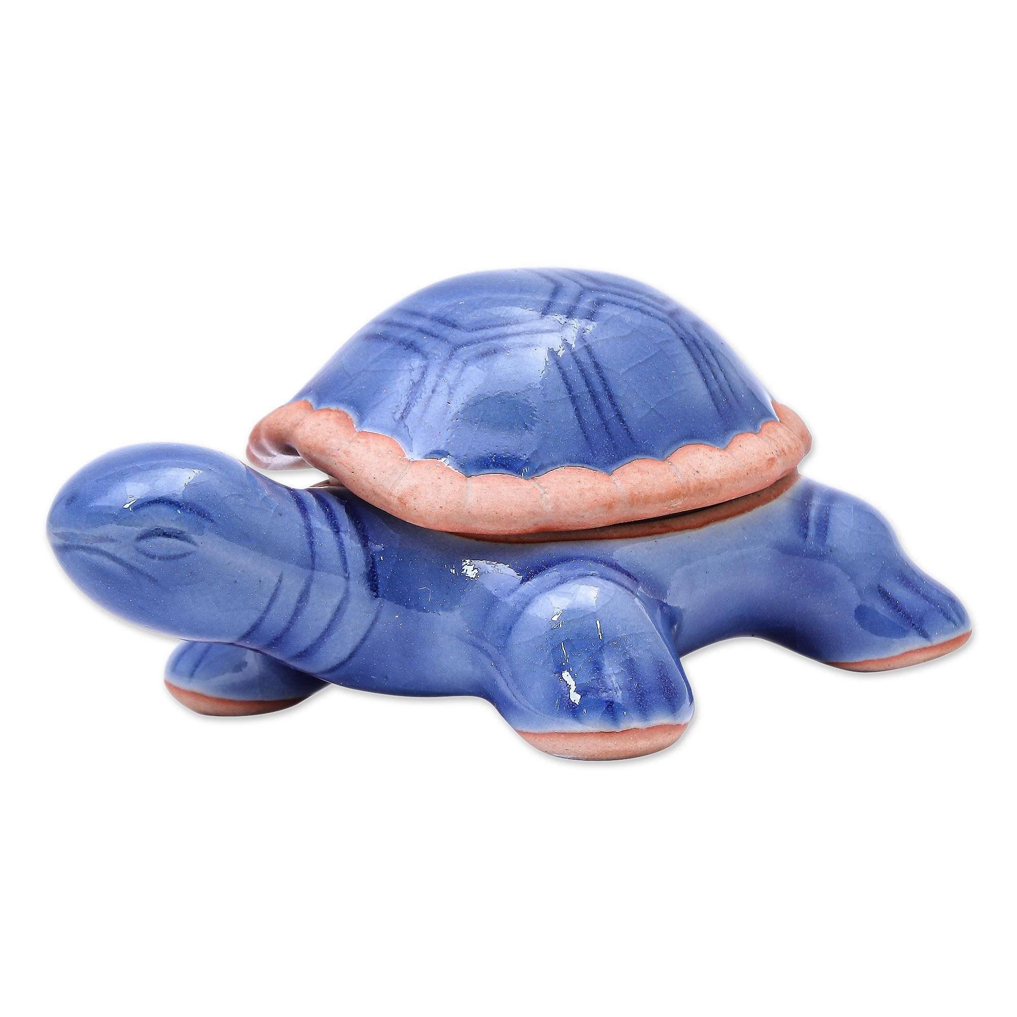 Bay Isle Home™ Turtle Decorative Box | Wayfair