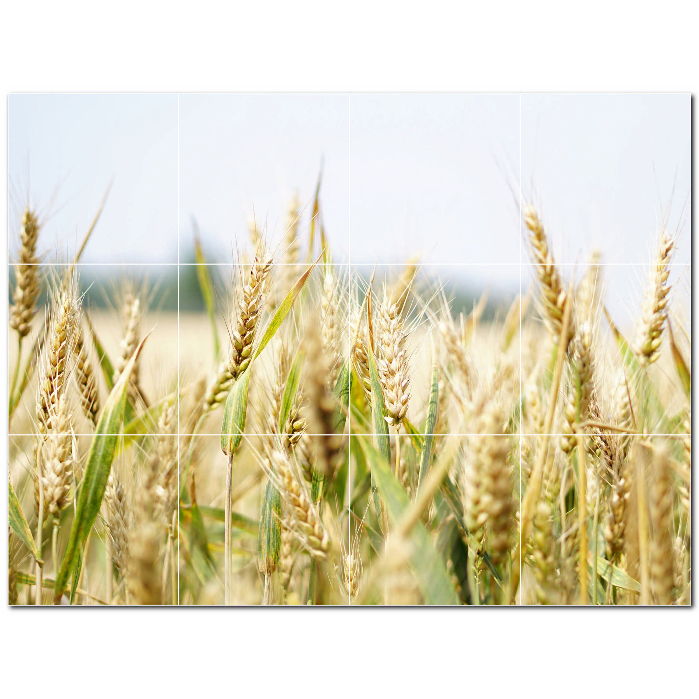 Picture-Tiles.com 32" x 24" Ceramic Farm Photo Decorative Mural Tile ...