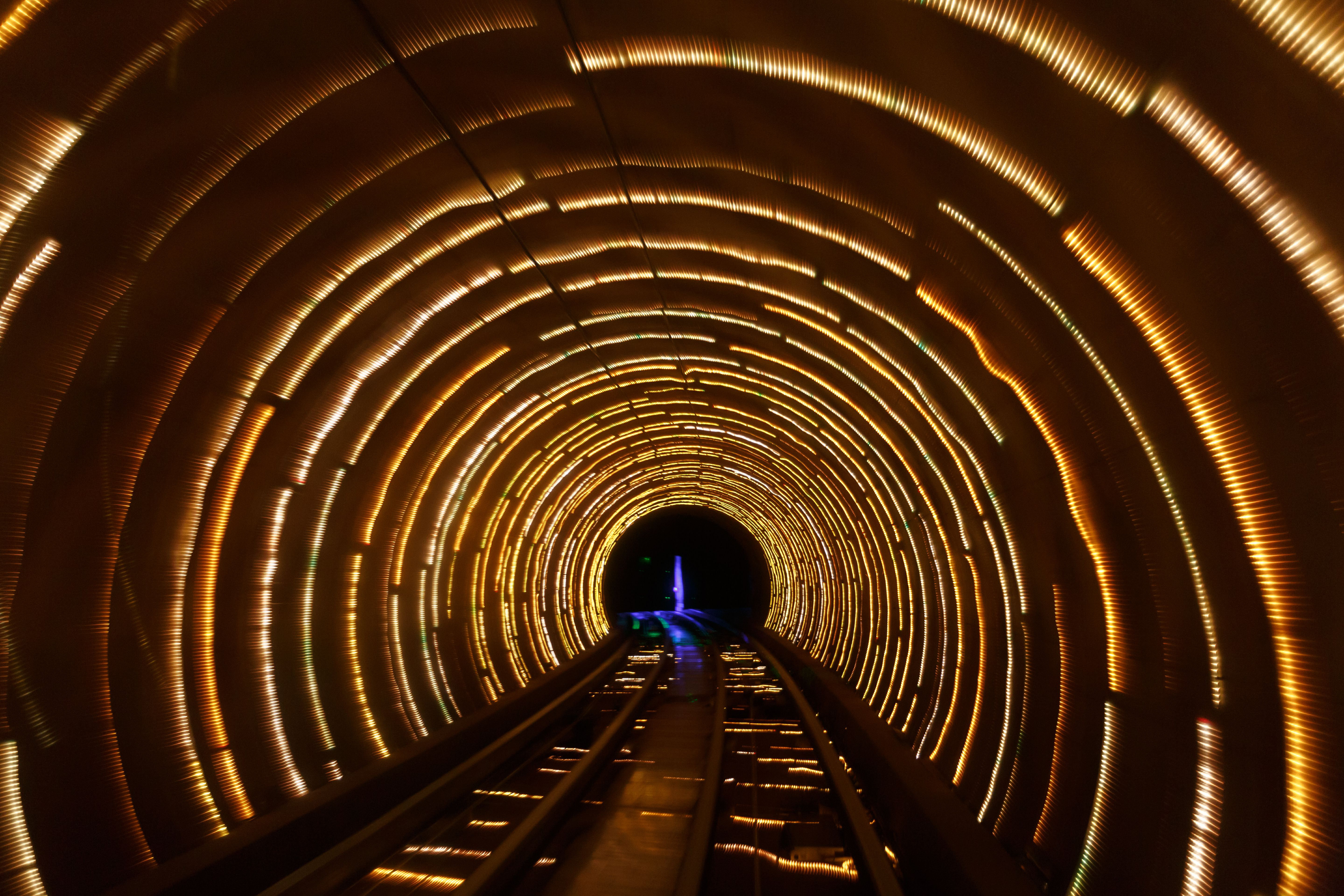 Ebern Designs Lights In Tunnel by - Wrapped Canvas Photograph | Wayfair