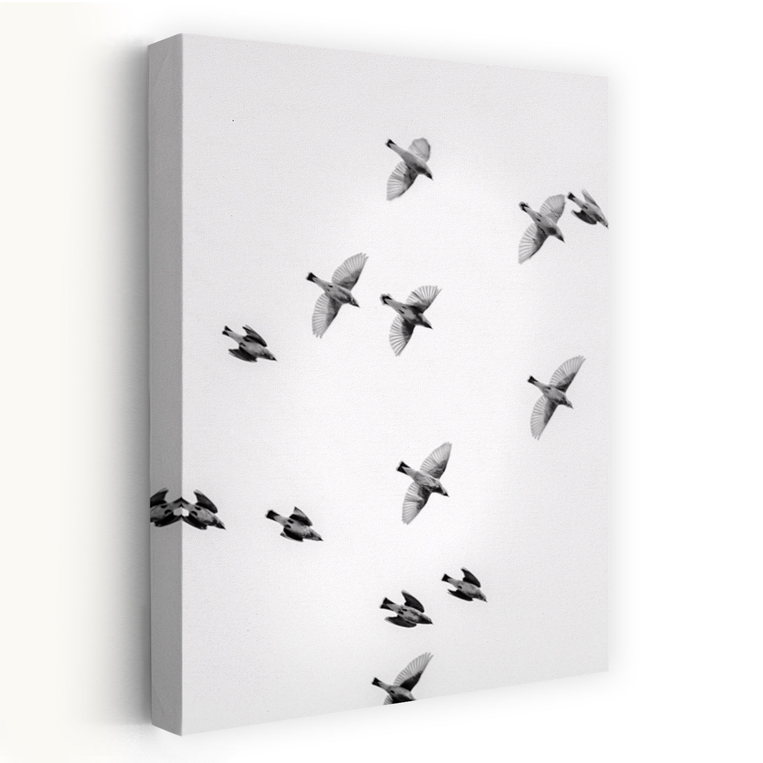 George Oliver In The Sky 1 Contemporary Bird Wildlife Art | Wayfair