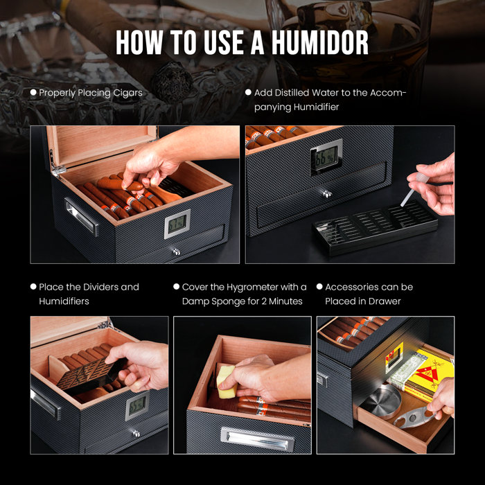 Latitude Run® Mensie Glass Top Cedar Humidor With Front Hygrometer ...