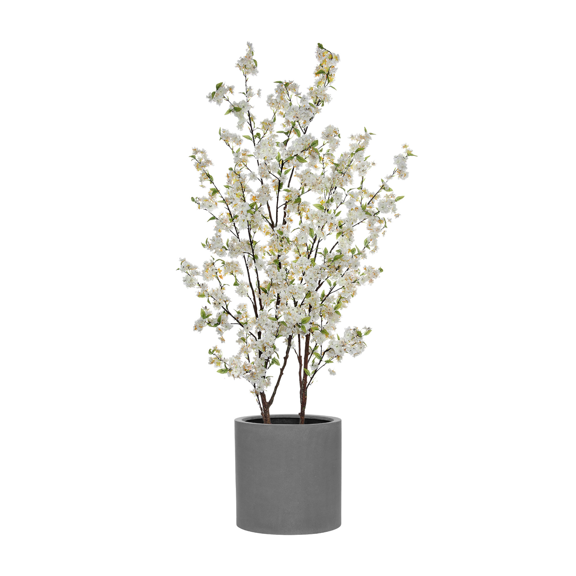 Primrue 6.5' Cherry Blossom Tree with Fiberstone Planter | Wayfair