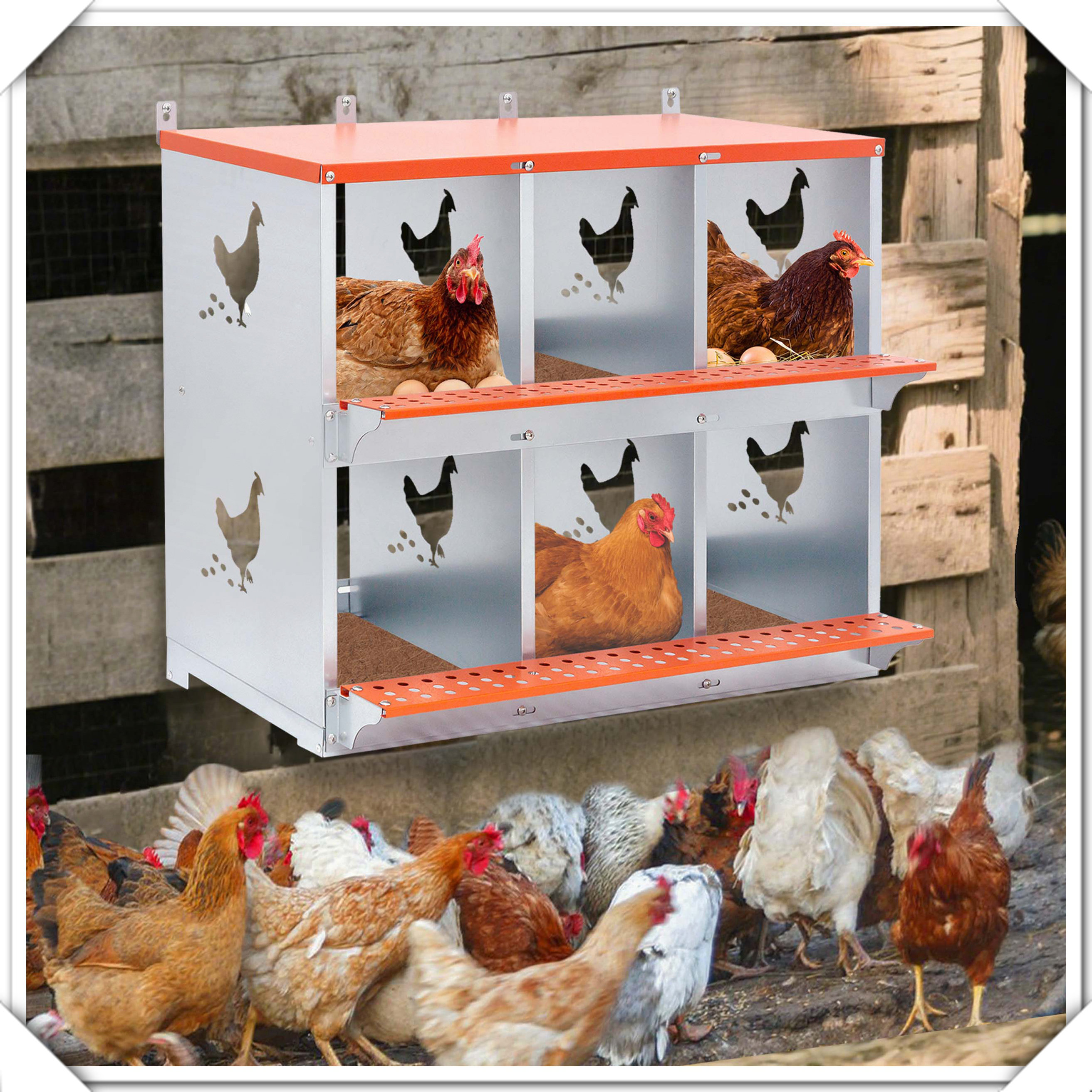 Ophelia & Co. Metal Wall Mount 6-Bay Nest Box Hens Ducks Easy Egg Collection Vented Galvanized ...
