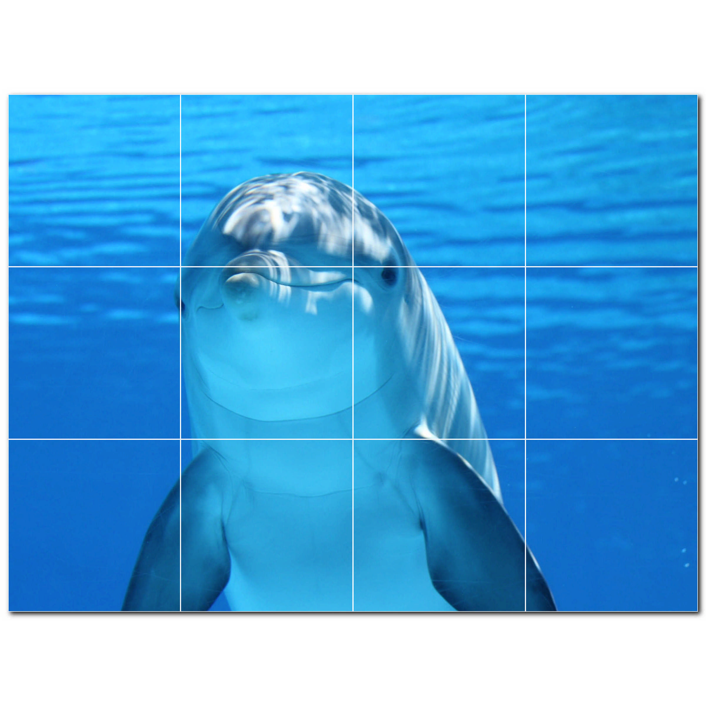 Picture-Tiles.com 24" x 32" Ceramic Dolphin Photo Decorative Mural Tile ...