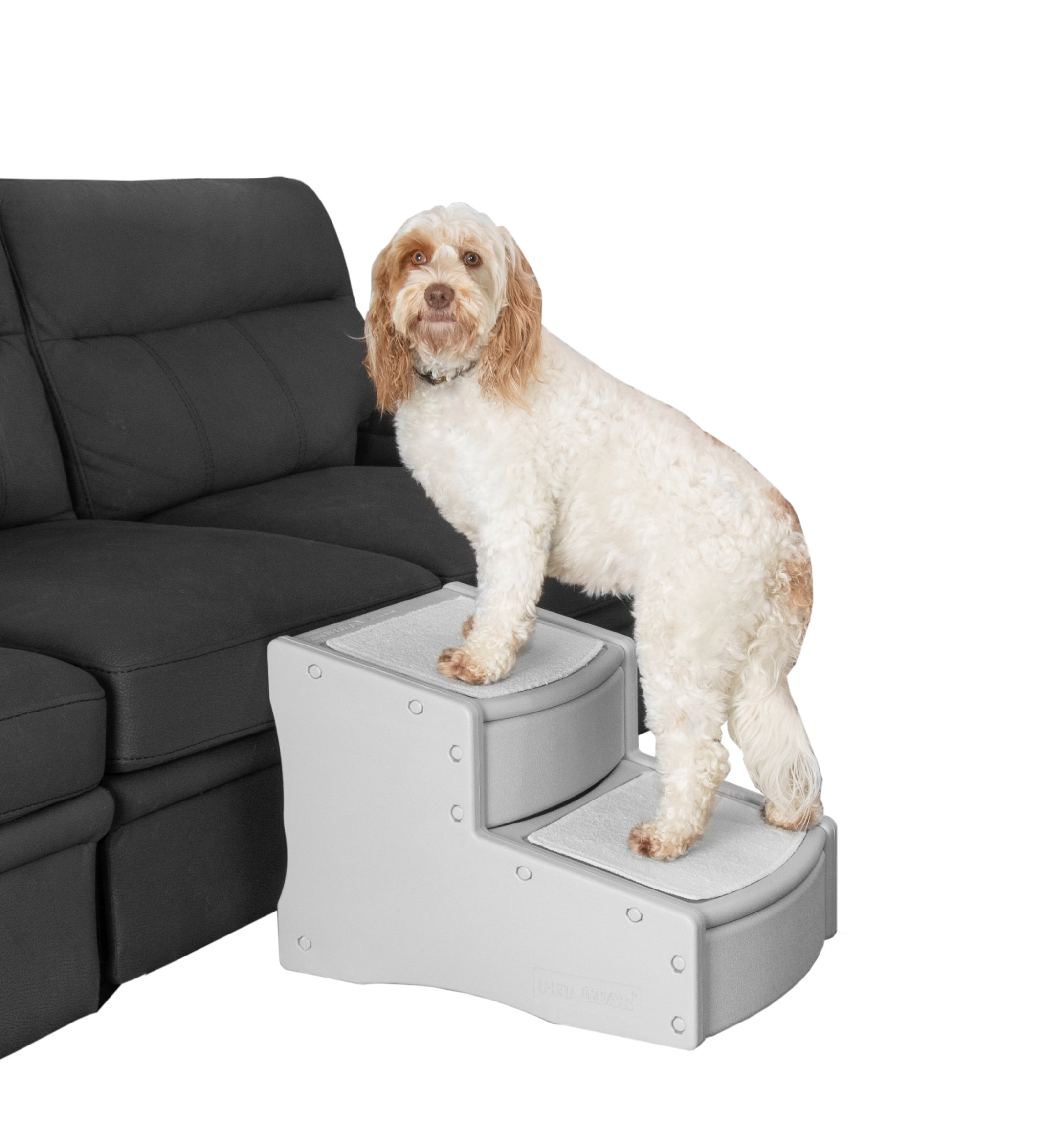 Pet Gear Easy 2 Step Pet Stair & Reviews - Wayfair Canada