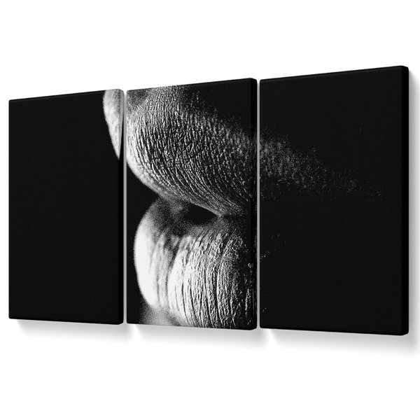 Ebern Designs Sensual Lips B N W - 3 Piece Wrapped Canvas Print ...