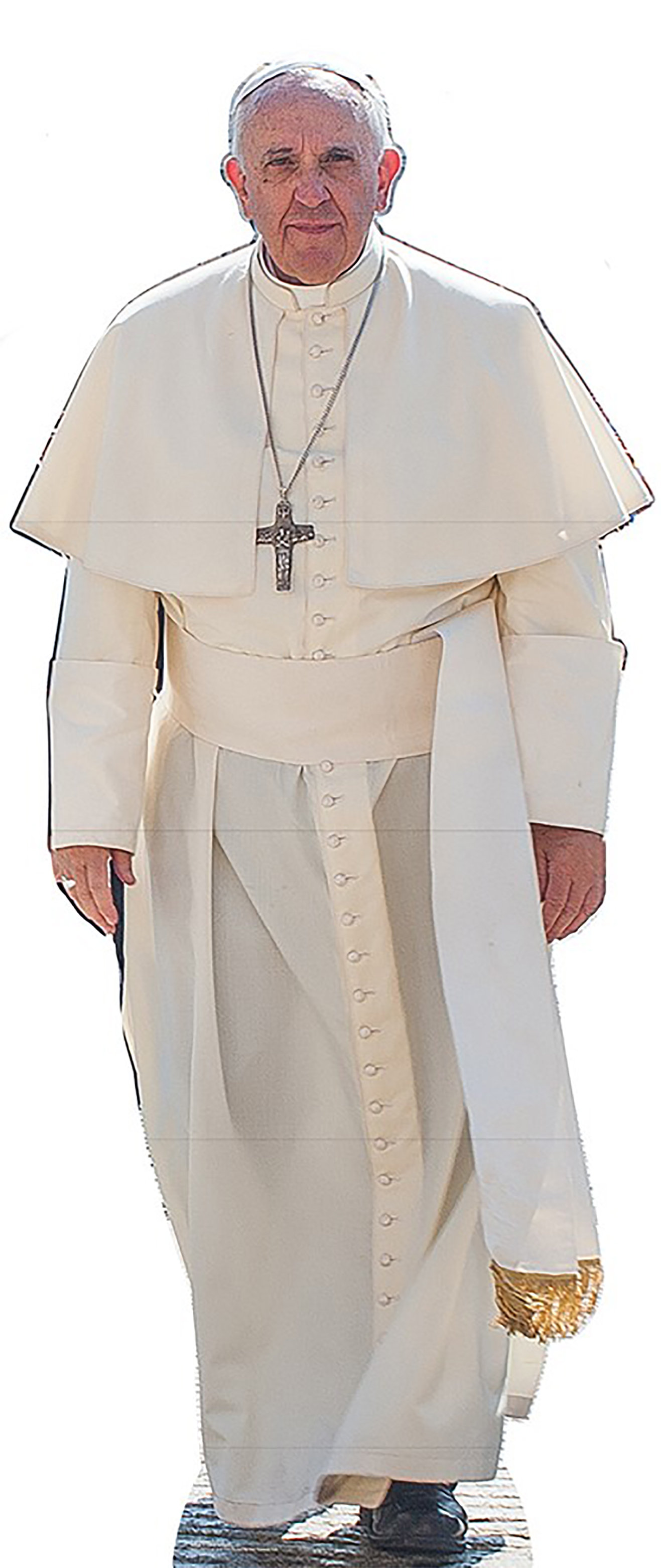 Star Cutouts Pope Francis Cardboard Standup & Reviews - Wayfair Canada