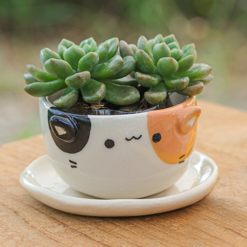 Winston Porter Handmade Kitty Fascination Ceramic Mini Flower Pot | Wayfair