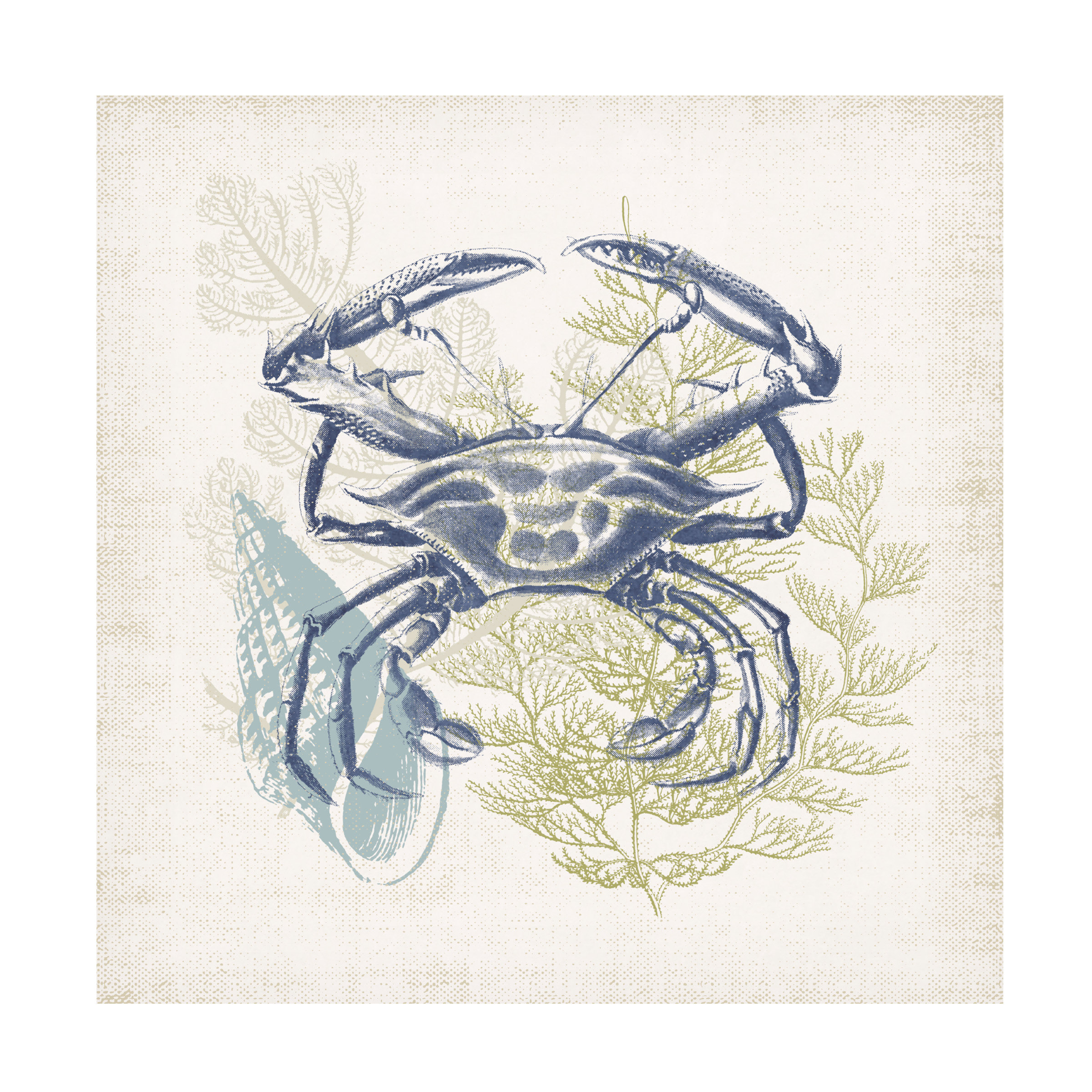 Trademark Fine Art Victoria Barnes 'Antique Coastal Ephemera VI' Canvas ...