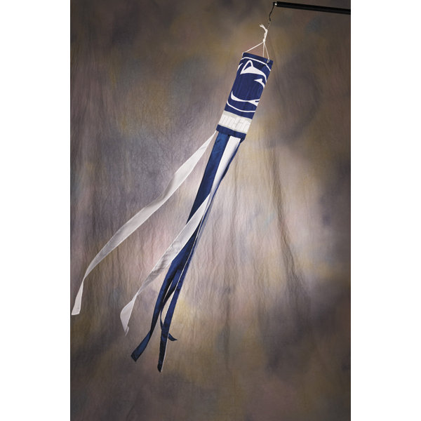 NeoPlex NCAA Double Sided 60'' H x 8'' W Polyester Wind Sock | Wayfair