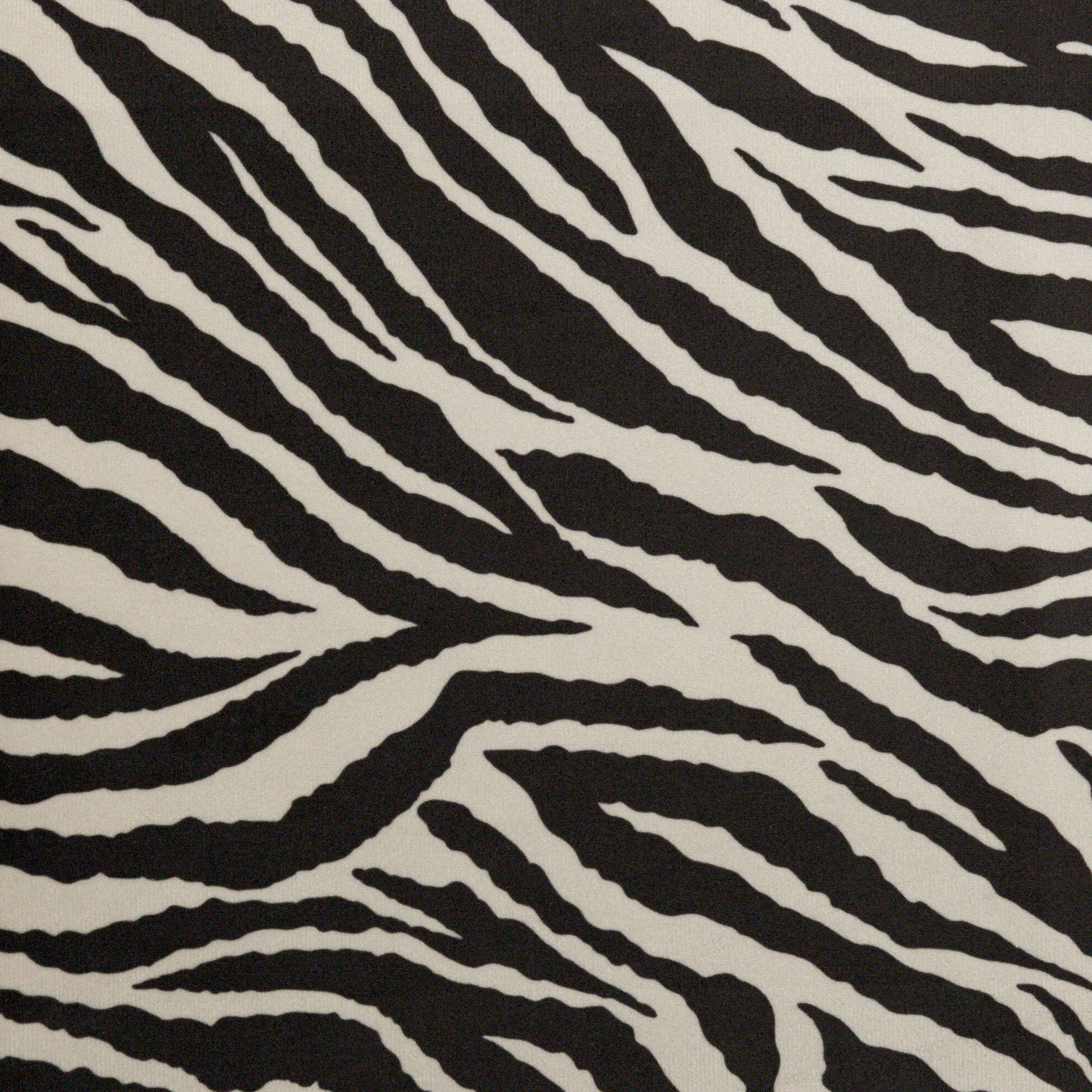Top Fabric SAFARI - BABY ZEBRA, LA ZOO SHORT PILE VELVET DRAPERY AND ...
