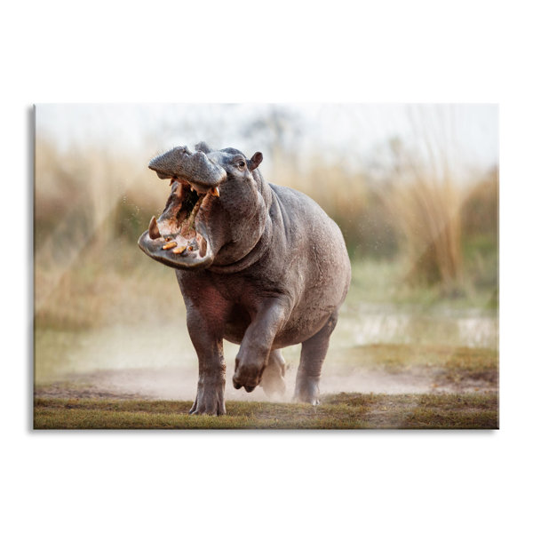 17 Stories Attacking Dangerous Hippo - No Frame Print on Glass ...