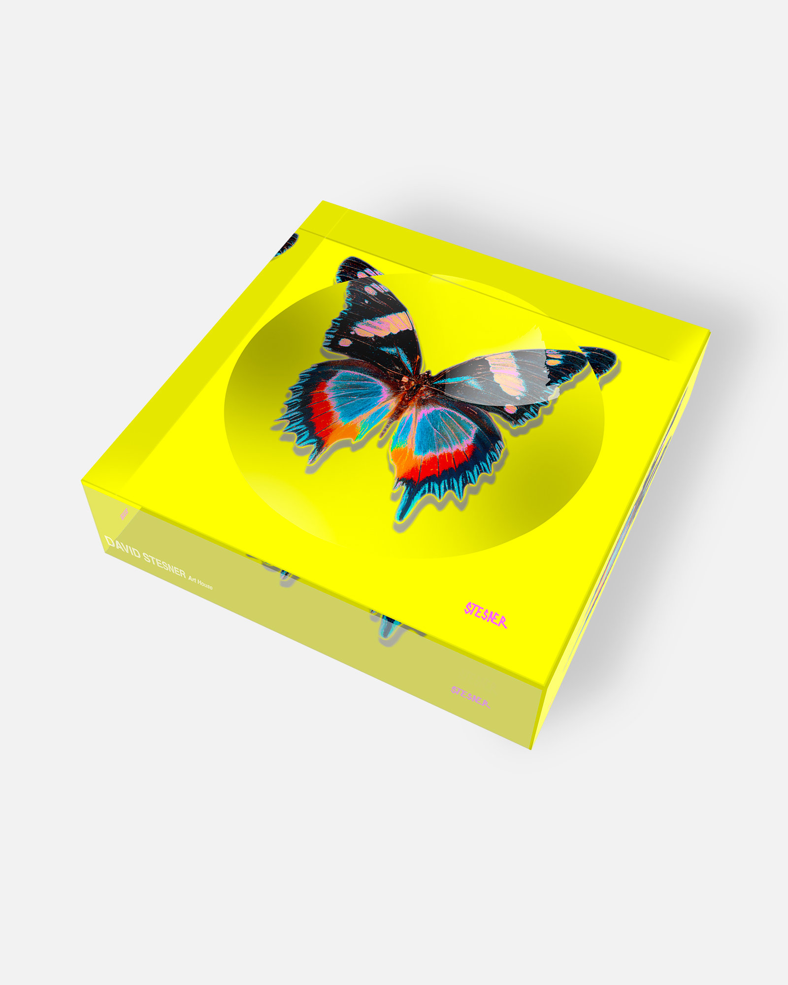 Orren Ellis Yellow Brilliance | Wayfair