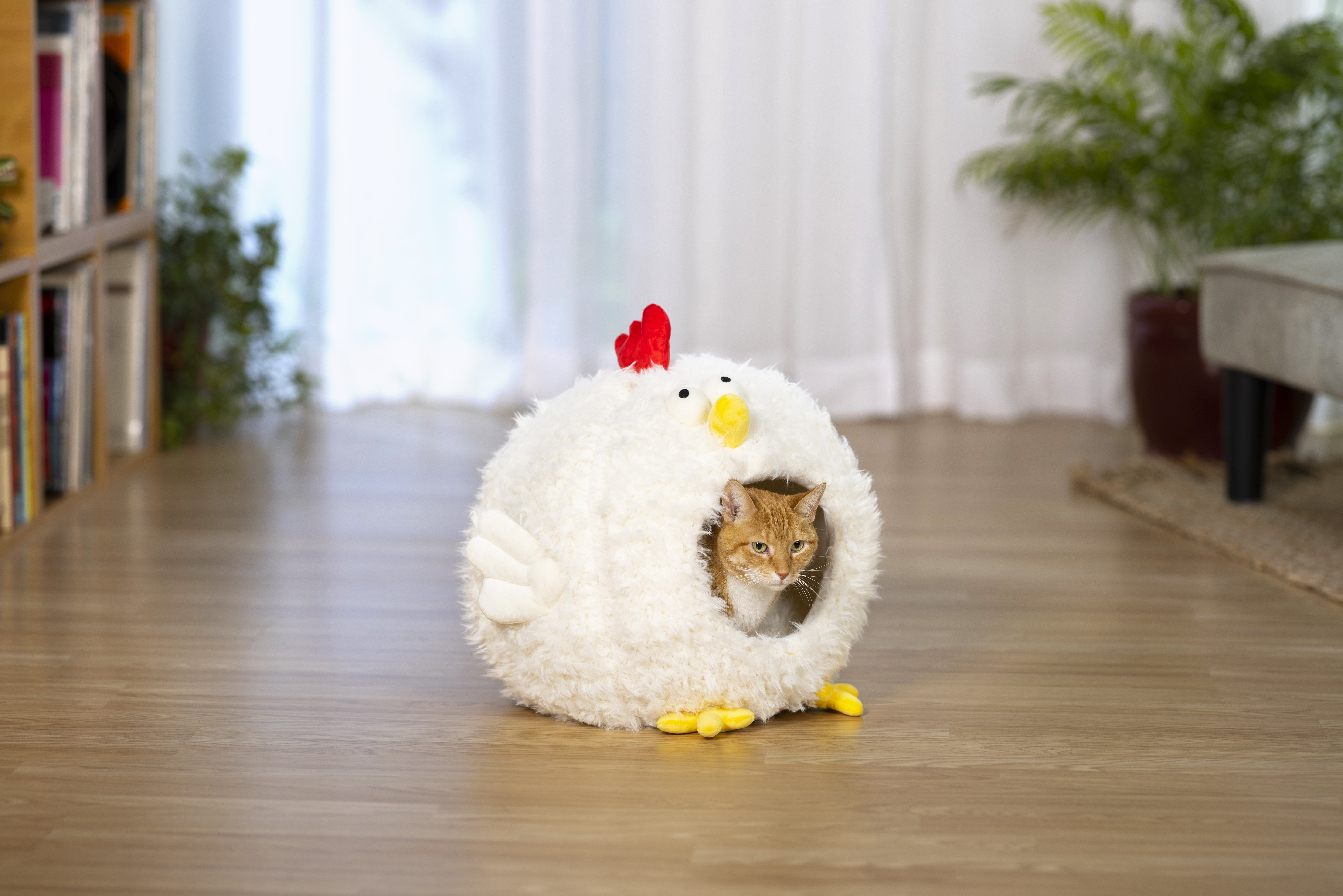 Archie & Oscar™ Corbridge Comfy Chicken Cat Bed & Hideaway & Reviews ...