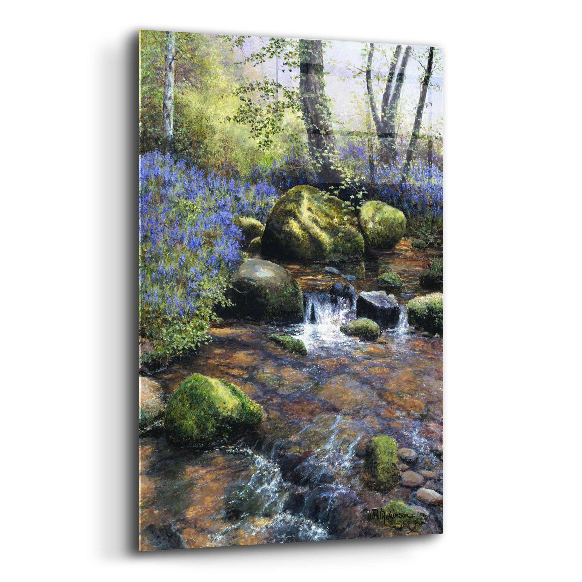 Millwood Pines 'Shallow Brook' By Bill Makinson, Acrylic Glass Wall Art ...