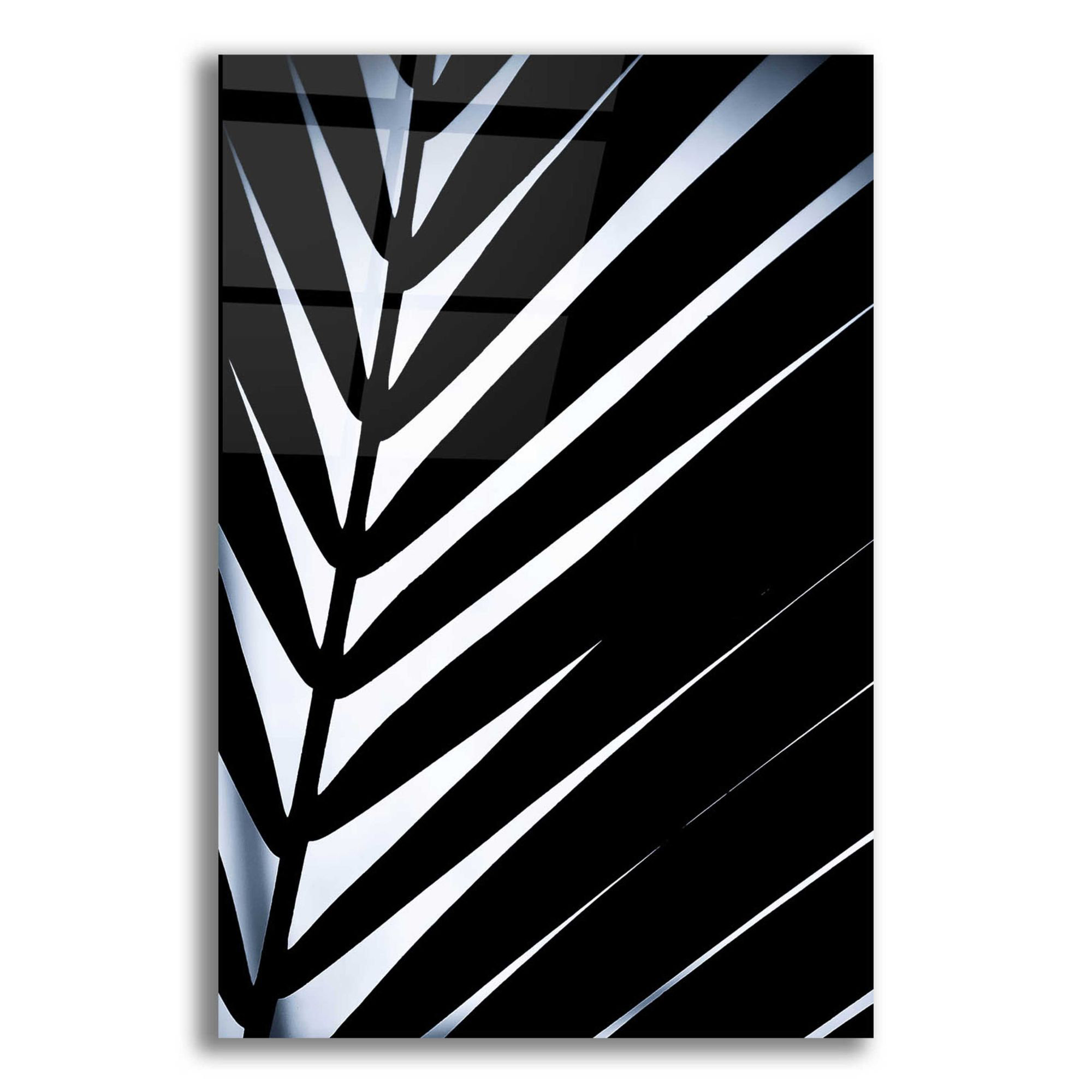 Latitude Run® Close up VI by Incado - Unframed Print | Wayfair