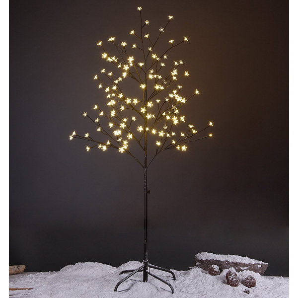 Lighted Twig & Birch Trees You'll Love | Wayfair