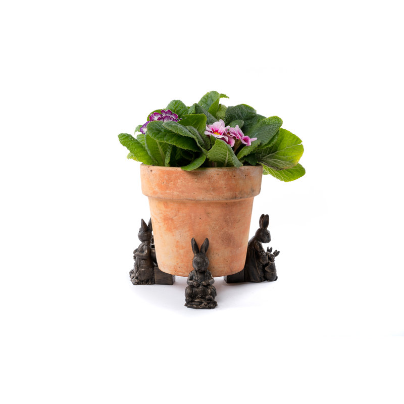 Jardinopia Beatrix Potter Peter Rabbit Bronze Coloured Planter Feet In ...