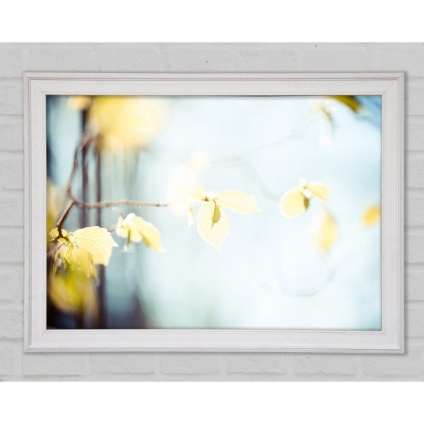 Brayden Studio Bleached Leaves - Single Picture Frame Art Prints ...