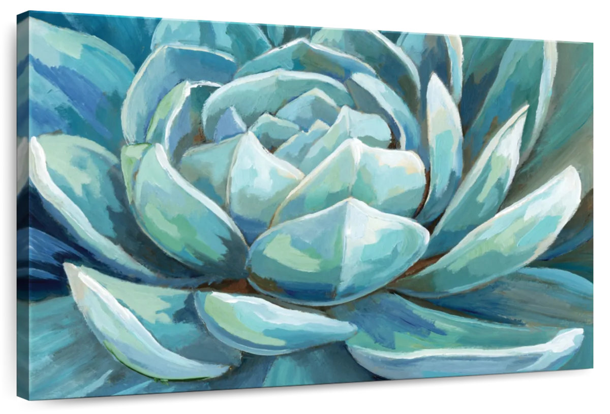 Elephant Stock Cerulean Succulent | Wayfair