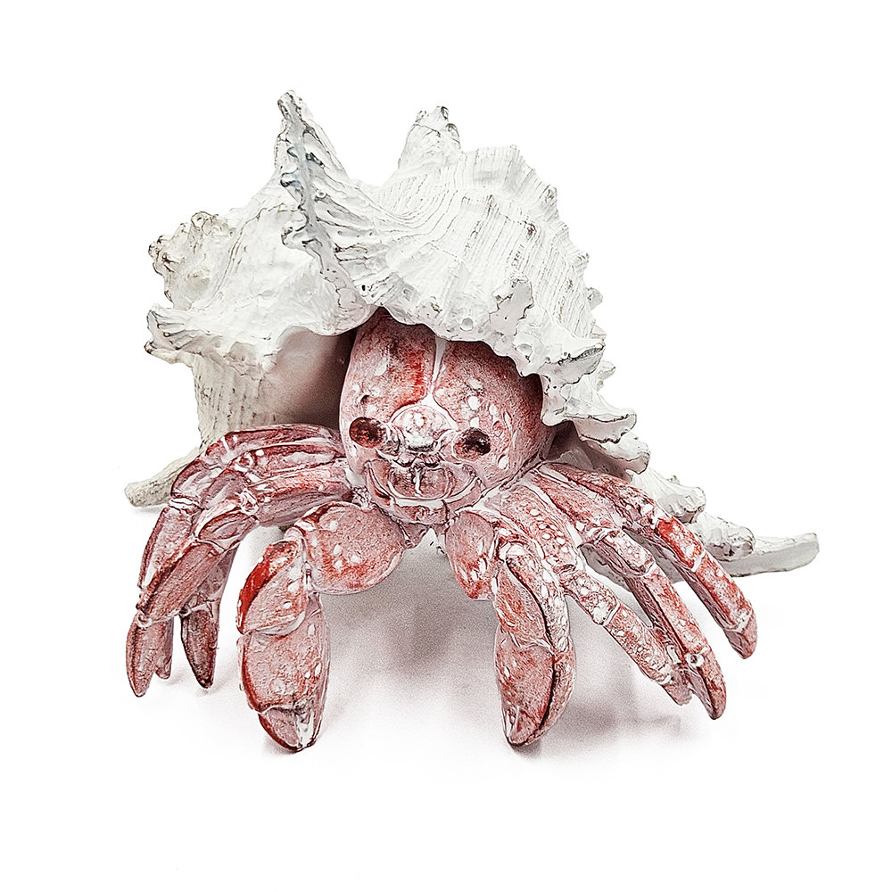 Highland Dunes Lifelike Hermit Crab Figurine With White Shell & Reviews ...