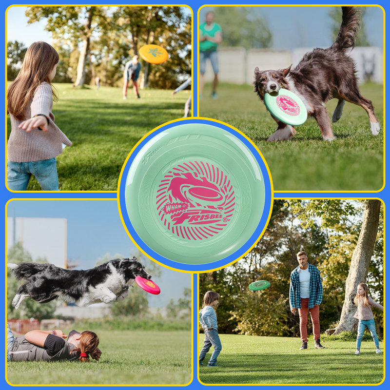 Wham-O Frisbee Go 2 Pack Flying Disc, 9 Inch Lightweight Toy Set | Wayfair