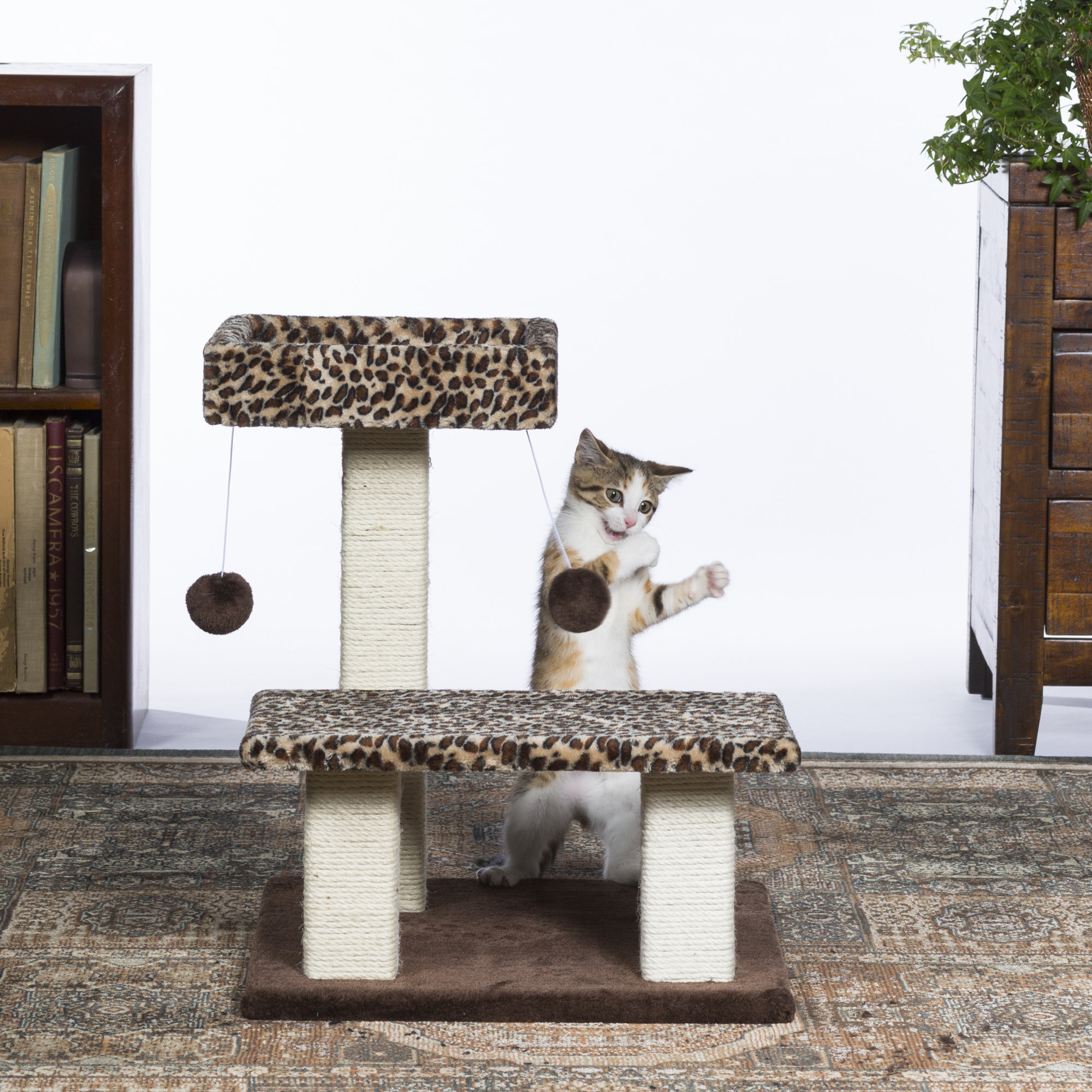 Tucker Murphy Pet™ 21" Borrego Leopard Terrace Cat Tree & Reviews ...