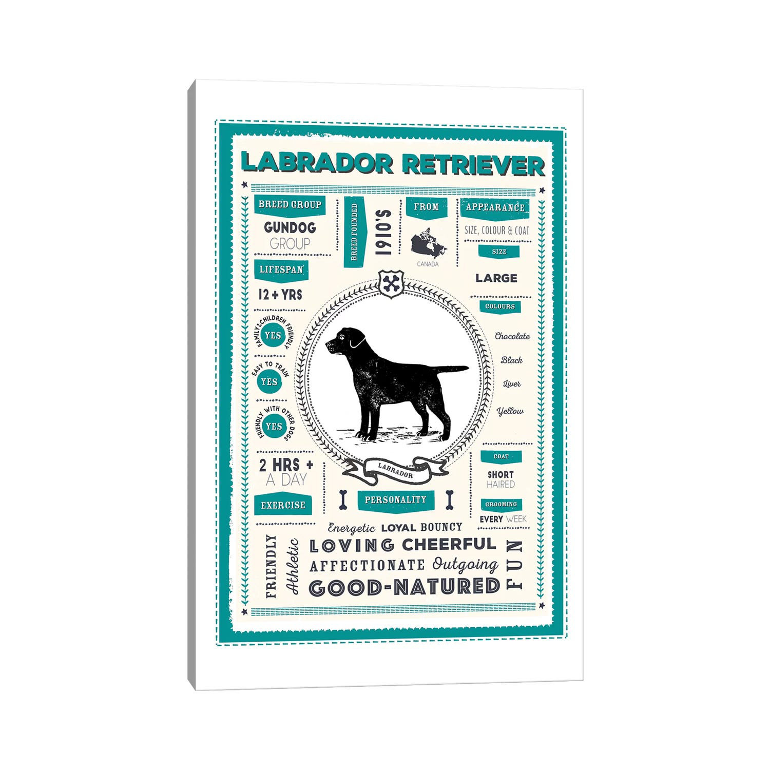 East Urban Home Labrador Retriever Infographic Blue by PaperPaintPixels ...