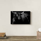 Bless international Brindle Rodeo Bull On Canvas by Julie T. Chapman ...
