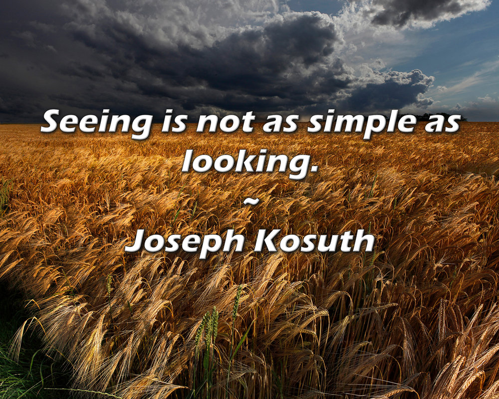 Trinx Joseph Kosuth Quote: Seeing is not as simple as looking. | Wayfair