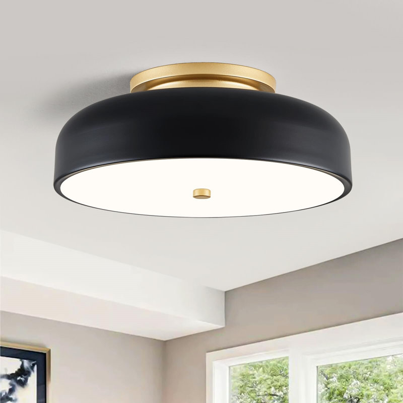 Mercer41 11.8 Inch Flush Mount Ceiling Light Dimmable Black Light ...