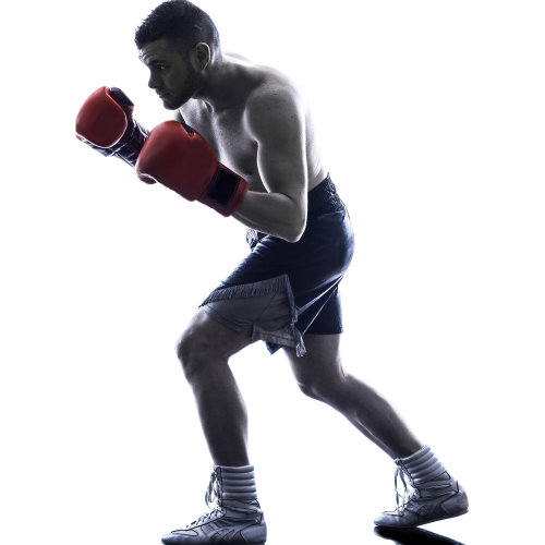 Wet Paint Printing SP13405 Boxing Boxer Fight Dukes Up Cardboard Cutout ...