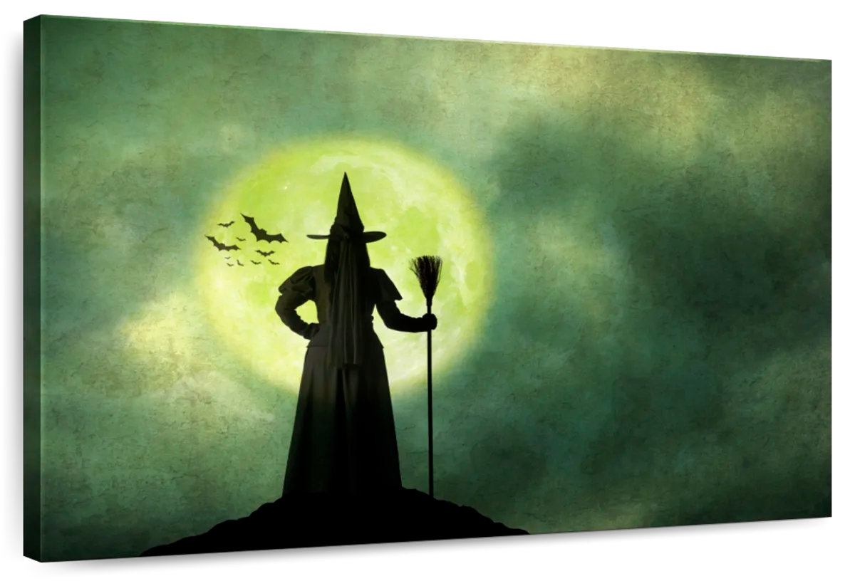 Elephant Stock Black Magic | Wayfair