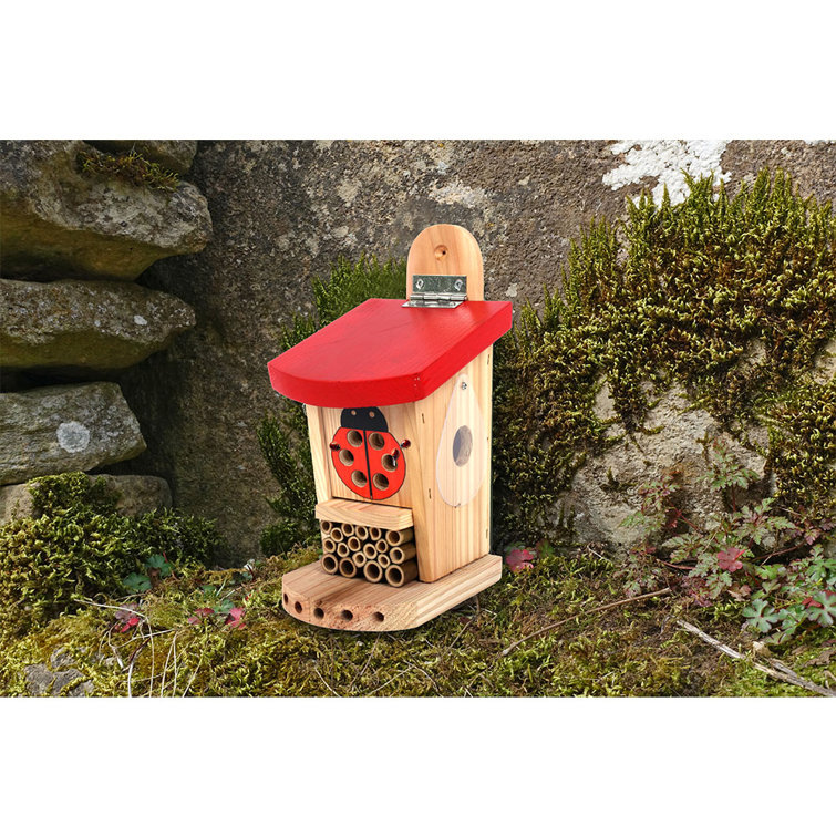 Dakota Fields Stonybrook Mounted Ladybird House | Wayfair.co.uk