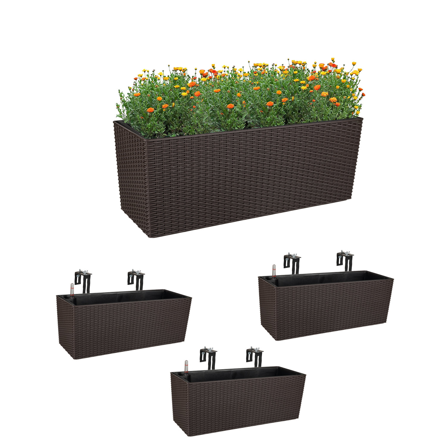 Winston Porter Mahliya Planter Box - Wayfair Canada