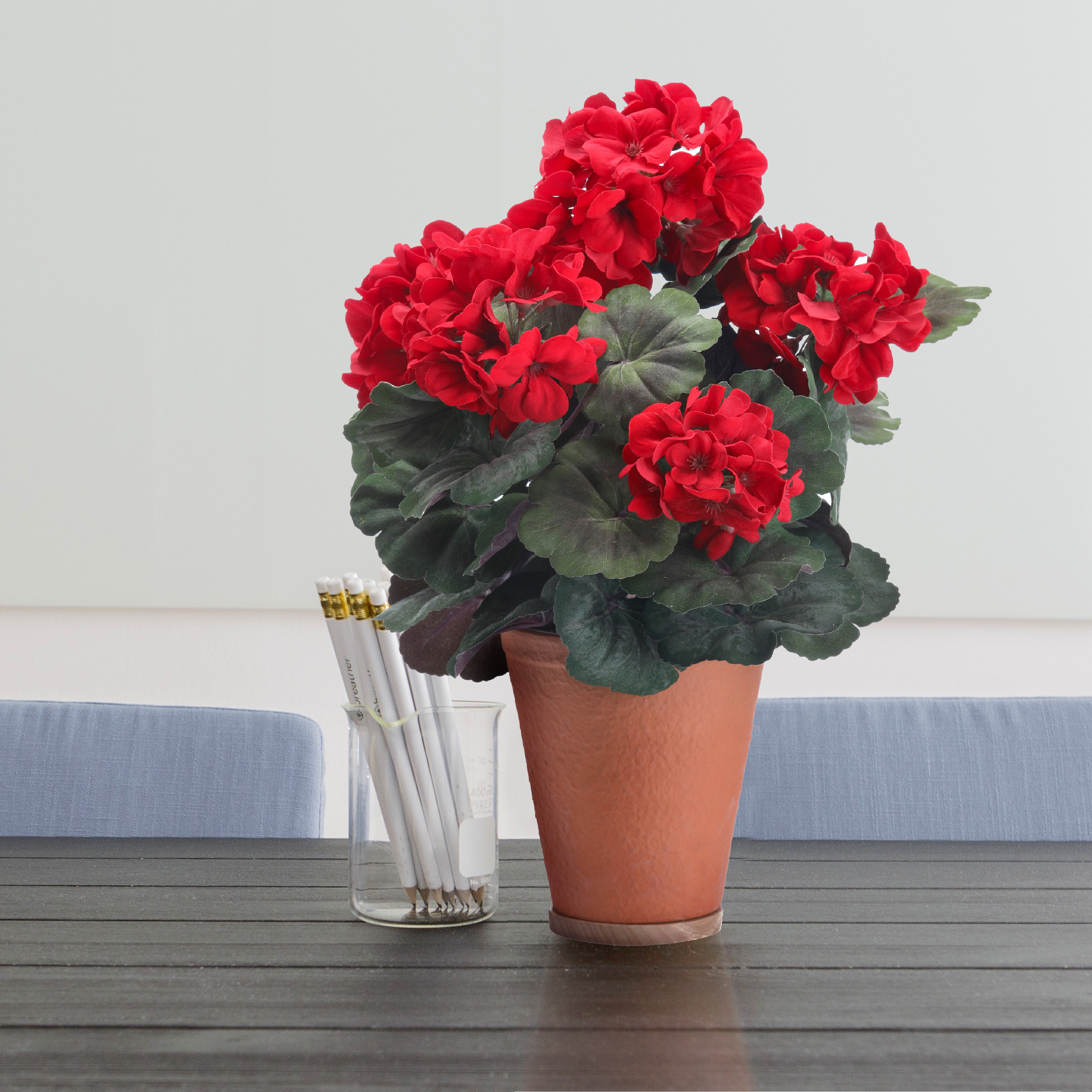 House of Hampton® Mature Geranium Floral Arrangement in Pot | Wayfair