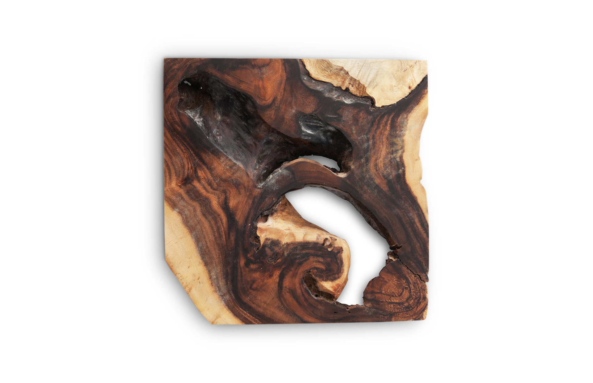 Phillips Collection Chamcha Wood Wall Décor & Reviews | Wayfair