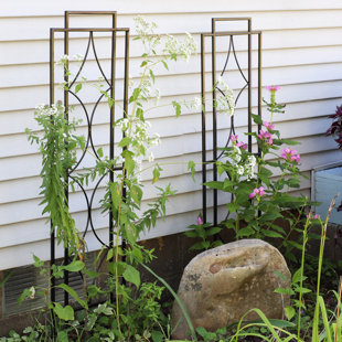 Steel Trellises You'll Love | Wayfair