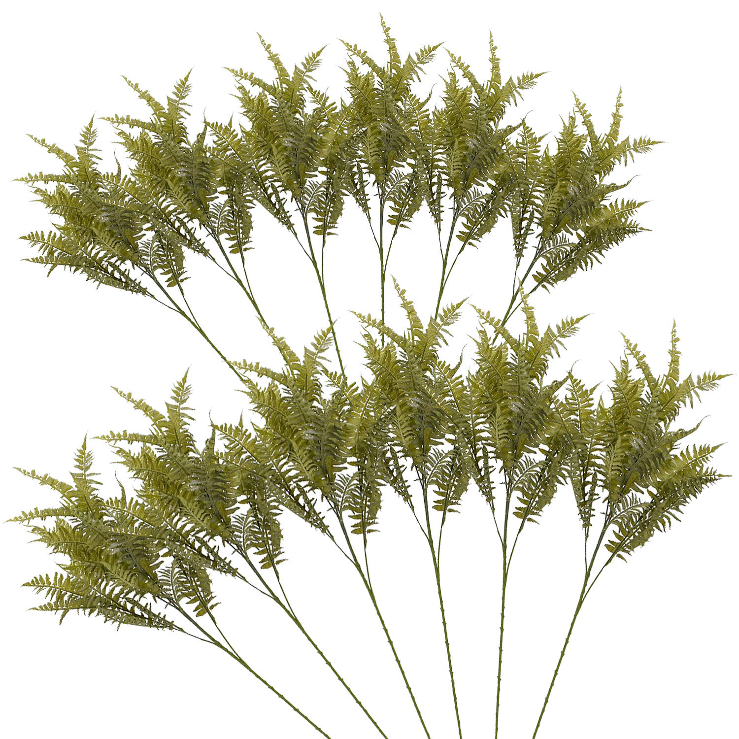 A&B Home Fern Sprays - Set of 12 | Wayfair