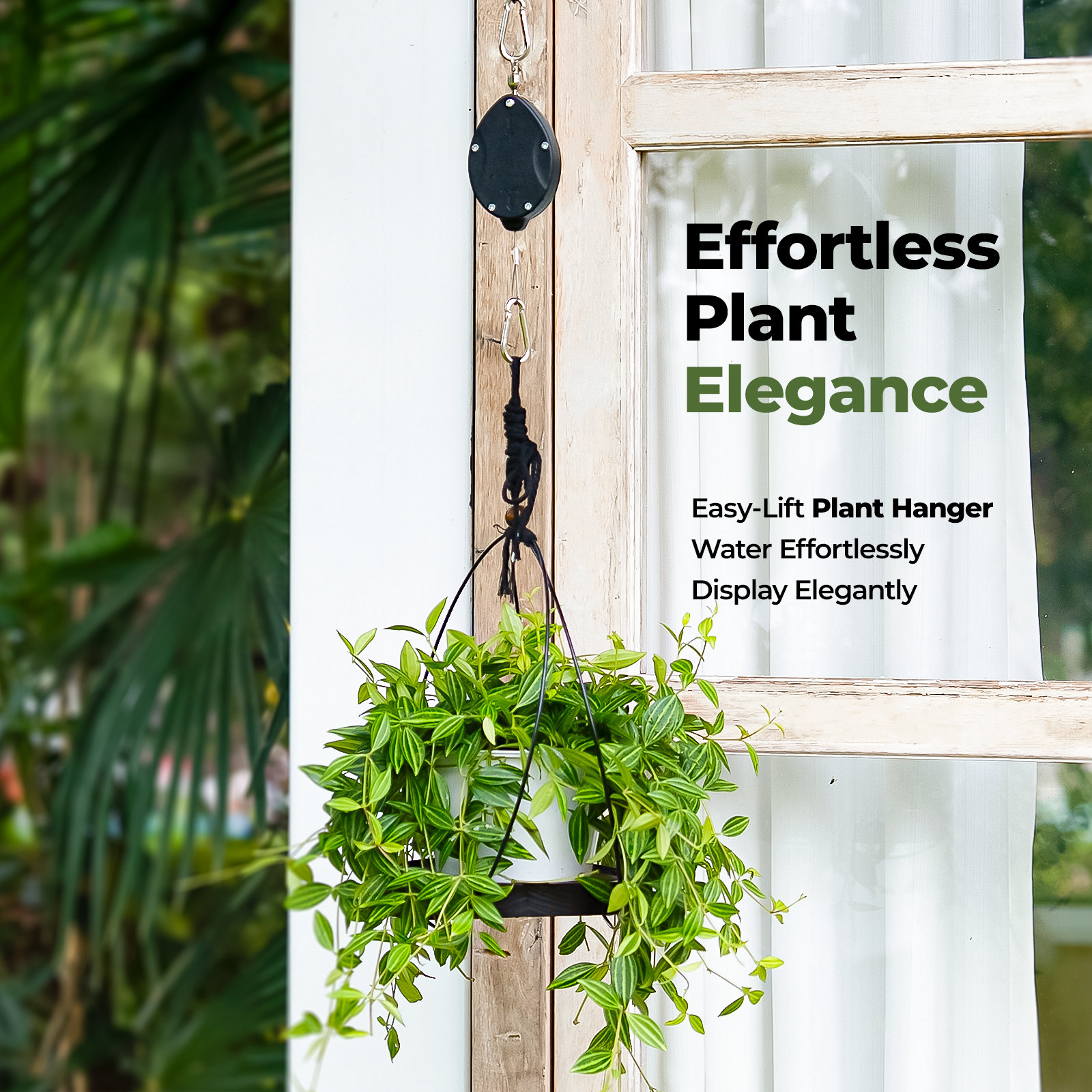 Ebern Designs 3 Pack Upgraded Retractable Plant Hanger for Indoor ...