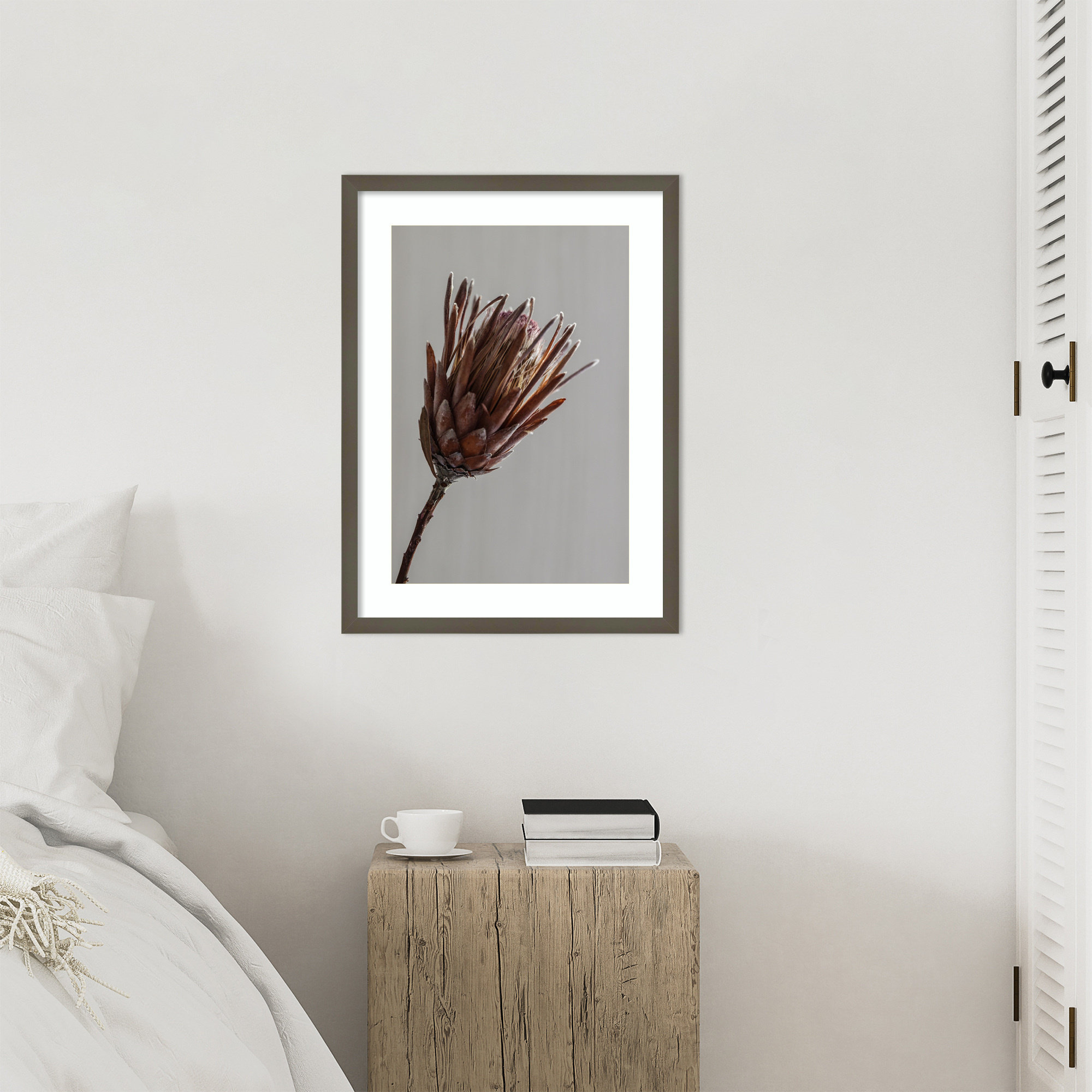 Amanti Art Momo by Shot by Clint Wood Framed Wall Art Print | Wayfair