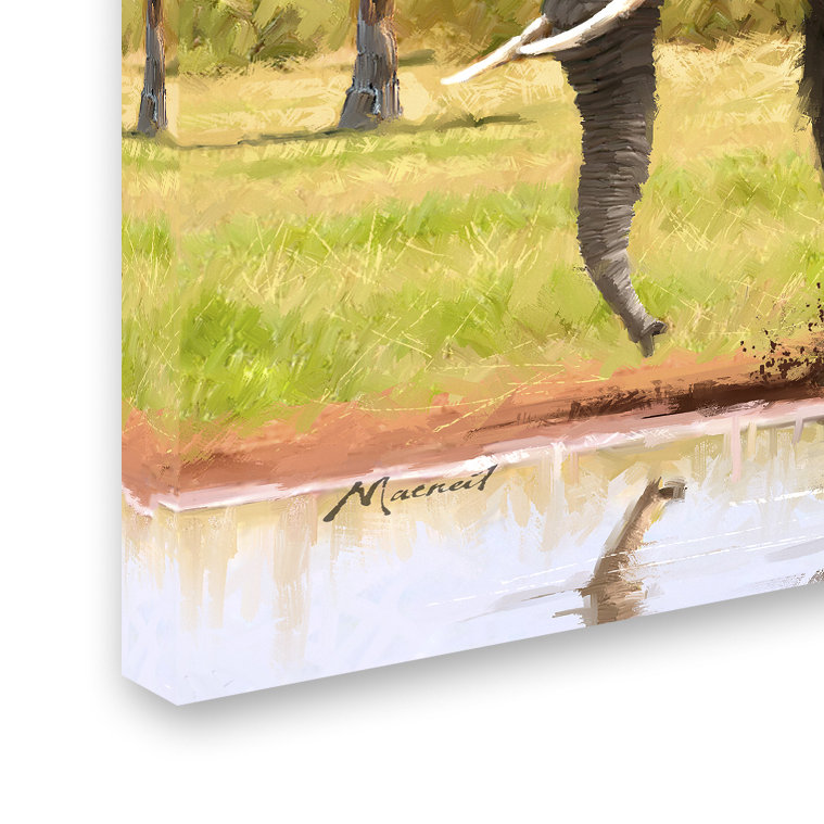 Trademark Art The Macneil Studio " Elephant " by The Macneil Studio ...