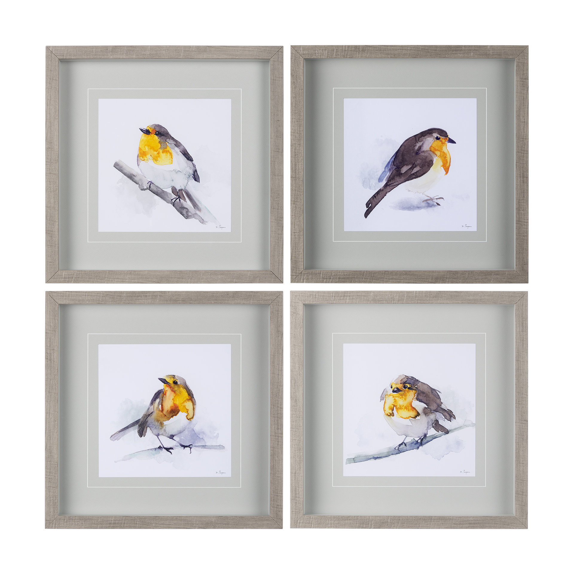 Red Barrel Studio® Robin II Framed On Paper Print | Wayfair