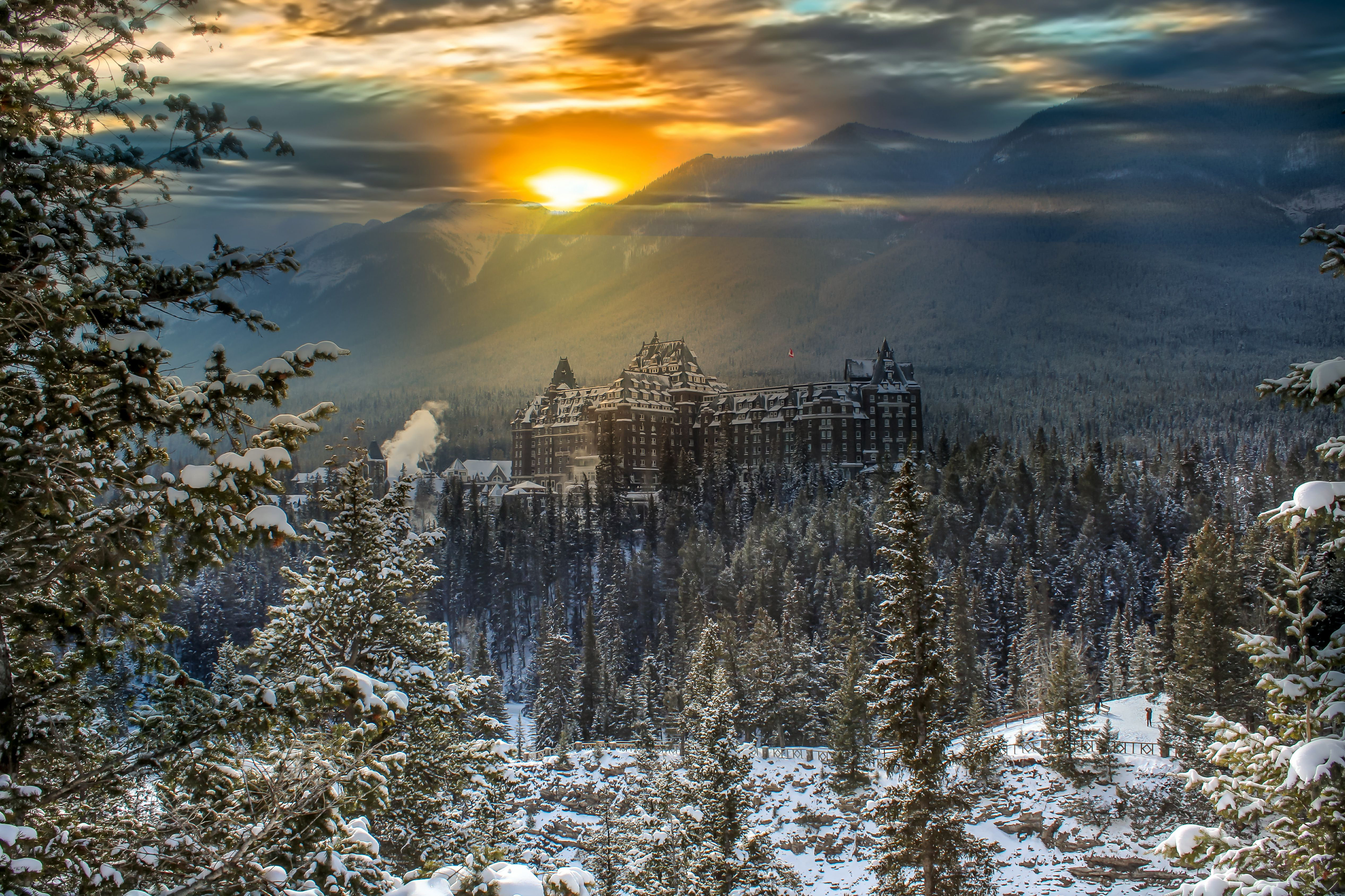 Millwood Pines Sunlit Banff by Lisa Marie - Wrapped Canvas Photograph ...