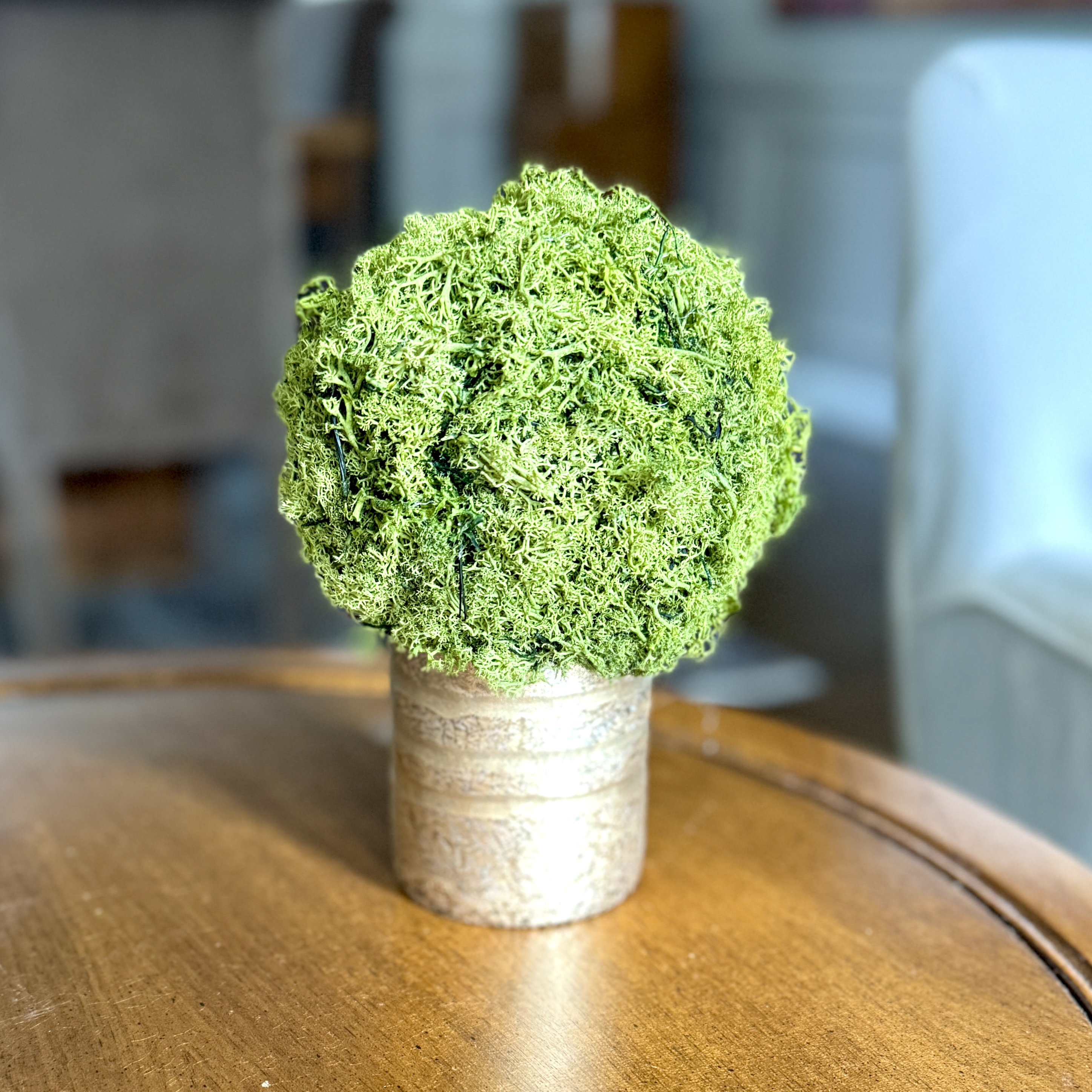 Primrue Moss Topiary in Glass Vase | Wayfair