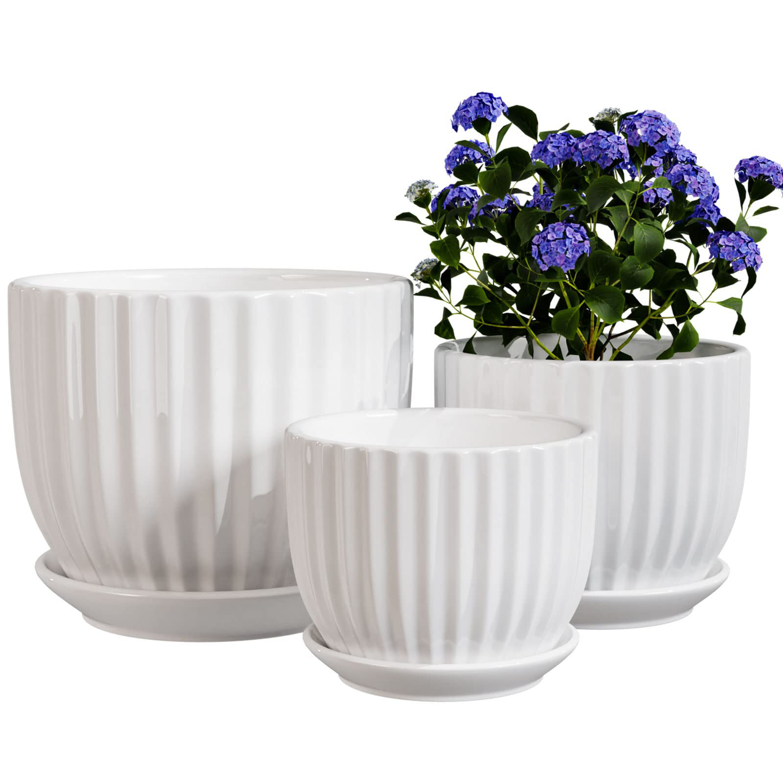 Ebern Designs Set Of 3 Minimalist White Ceramic Planters With Drainage ...